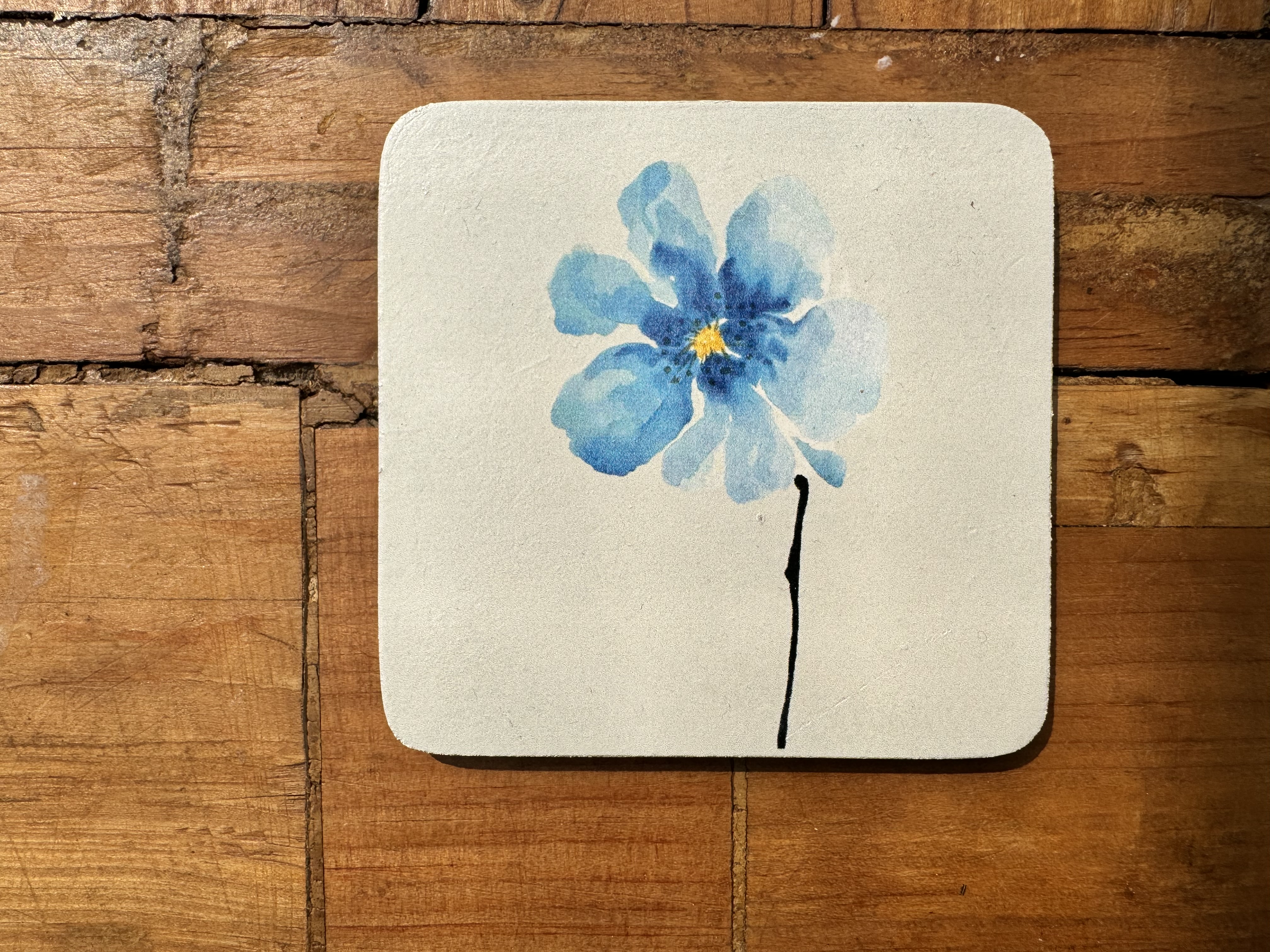 Natasha Chaturvedi | Communications Professional