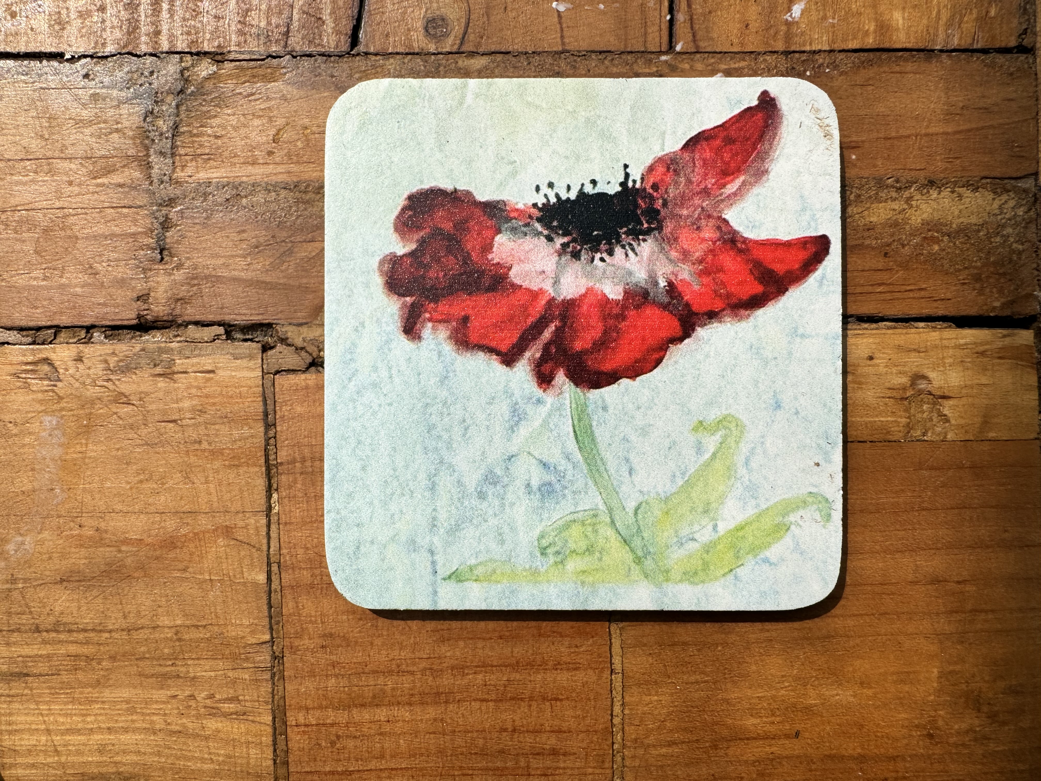 Natasha Chaturvedi | Communications Professional